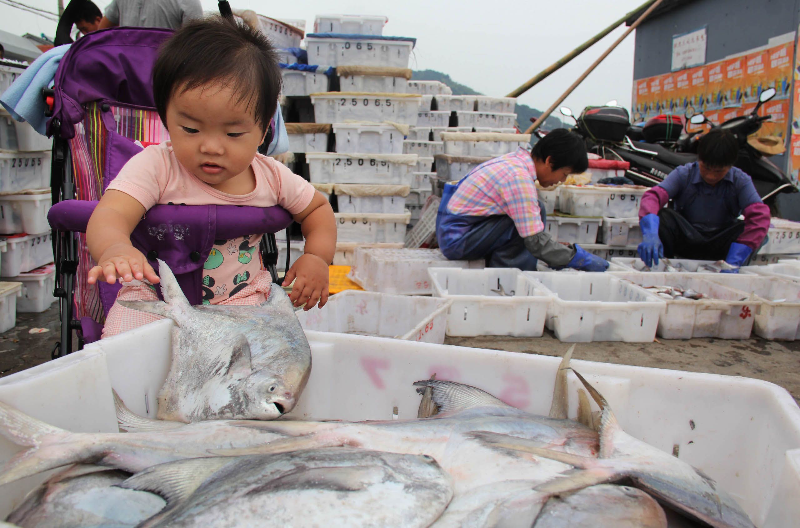 Little-Known Summer Ningbo Cuisine | The World of Chinese