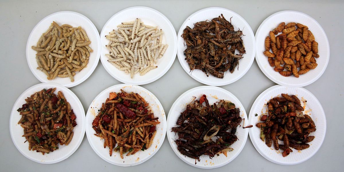 Like a bug with that? | The World of Chinese